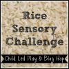 Child-Led Sensory Play with Rice - Craftulate
