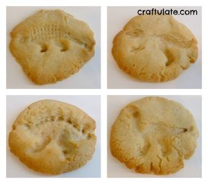 Dinosaur Fossil Cookies - Craftulate