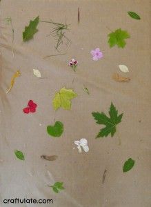 Outdoor Nature Collage - Craftulate